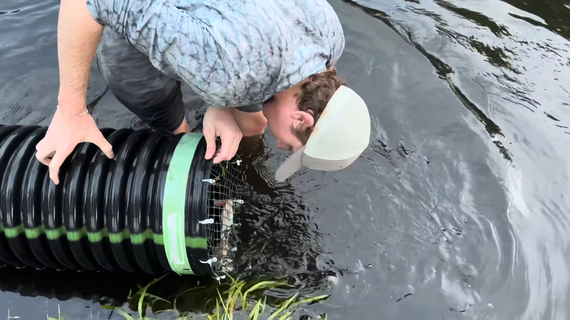 They thought it was just a trap until giant piranhas filled it ...