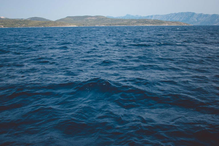 Forensic analysis of Roman shipwreck reveals something new
