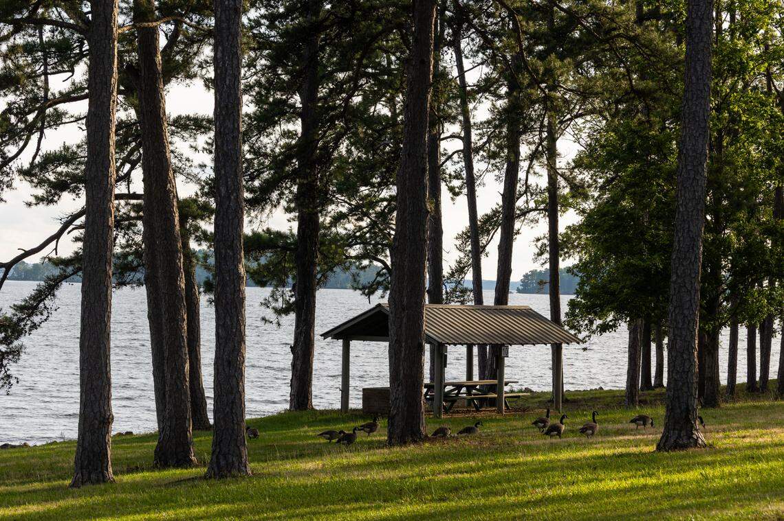 Body pulled from Lake Murray after apparent accident, SC sheriff says