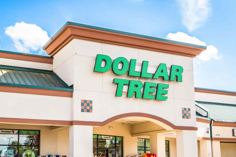 The $1.50 Dollar Tree find so good I’d buy 10 (they’re nearly identical ...