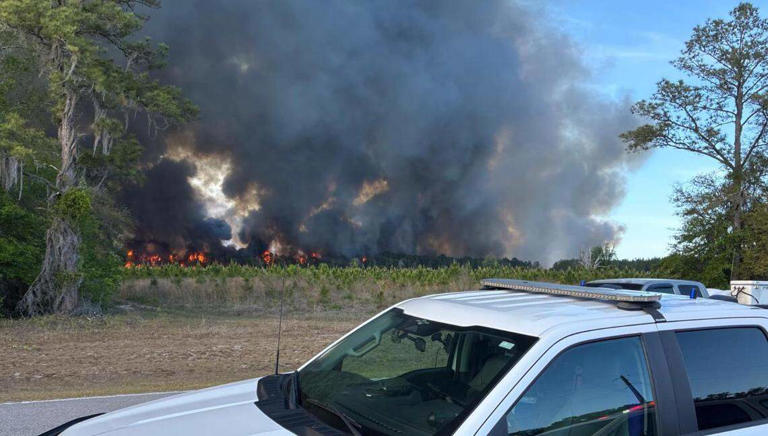 Brantley County family left homeless after Georgia wildfire destroys ...