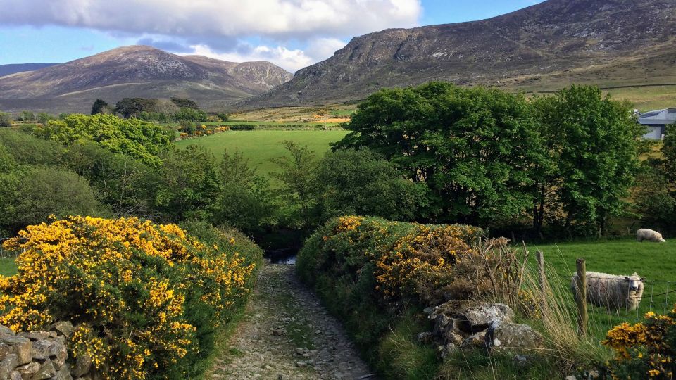 The ancient mountain kingdom where fantasy comes to life
