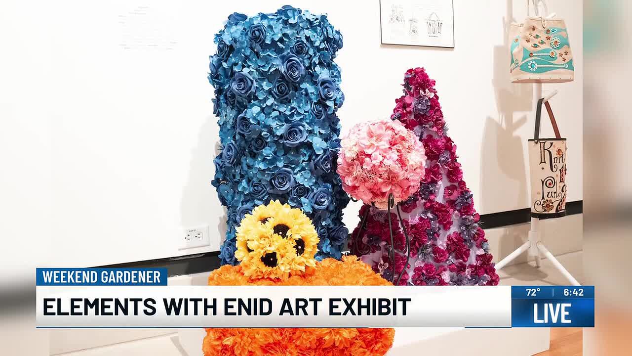 Weekend gardener: Elements with Enid art exhibit