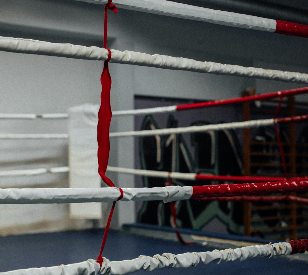 Muhammad Ali's grandson and Oscar De La Hoya confront US Senate about ...