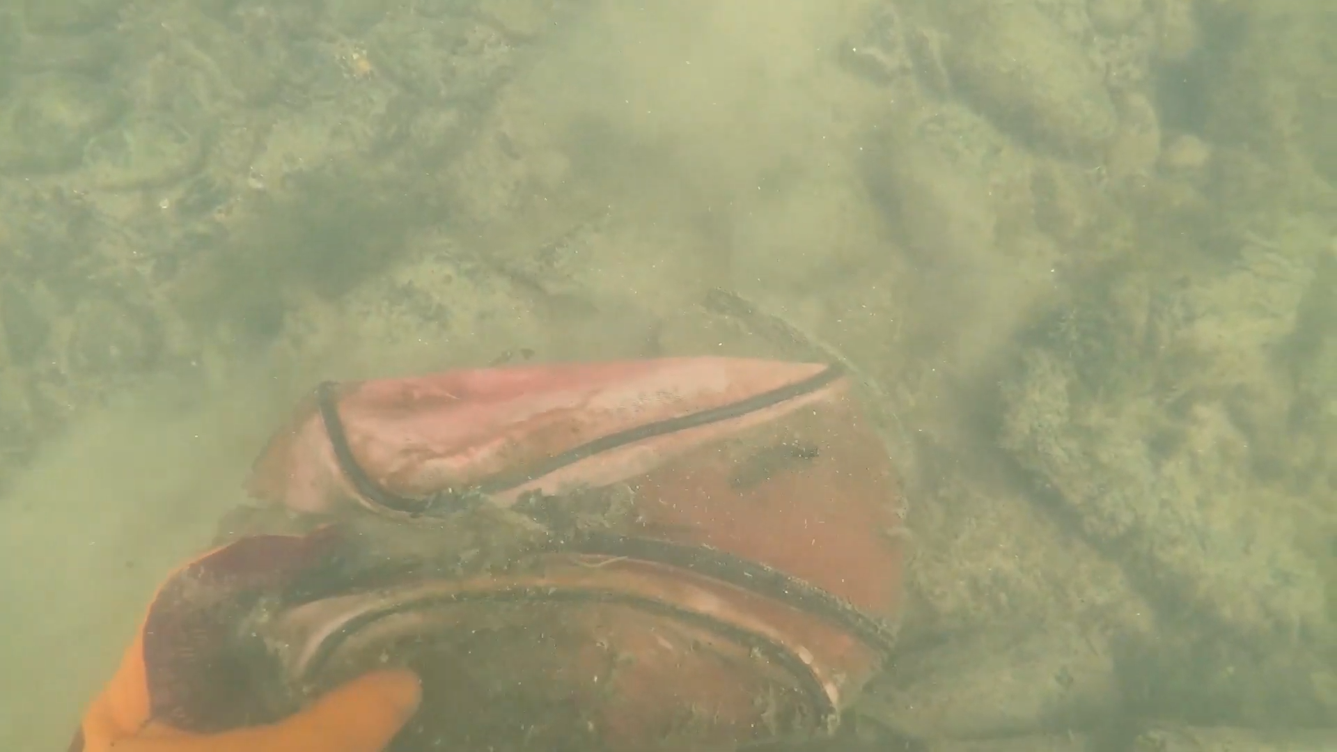 This video shows what was inside the red bag