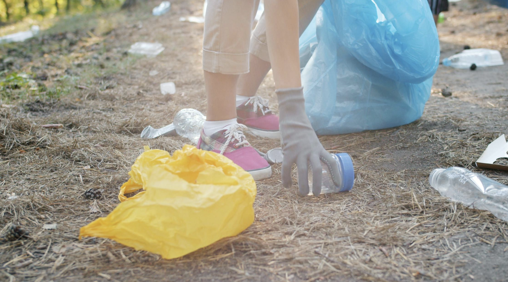 You're invited: Community cleanup along Cape Cod Canal to celebrate ...