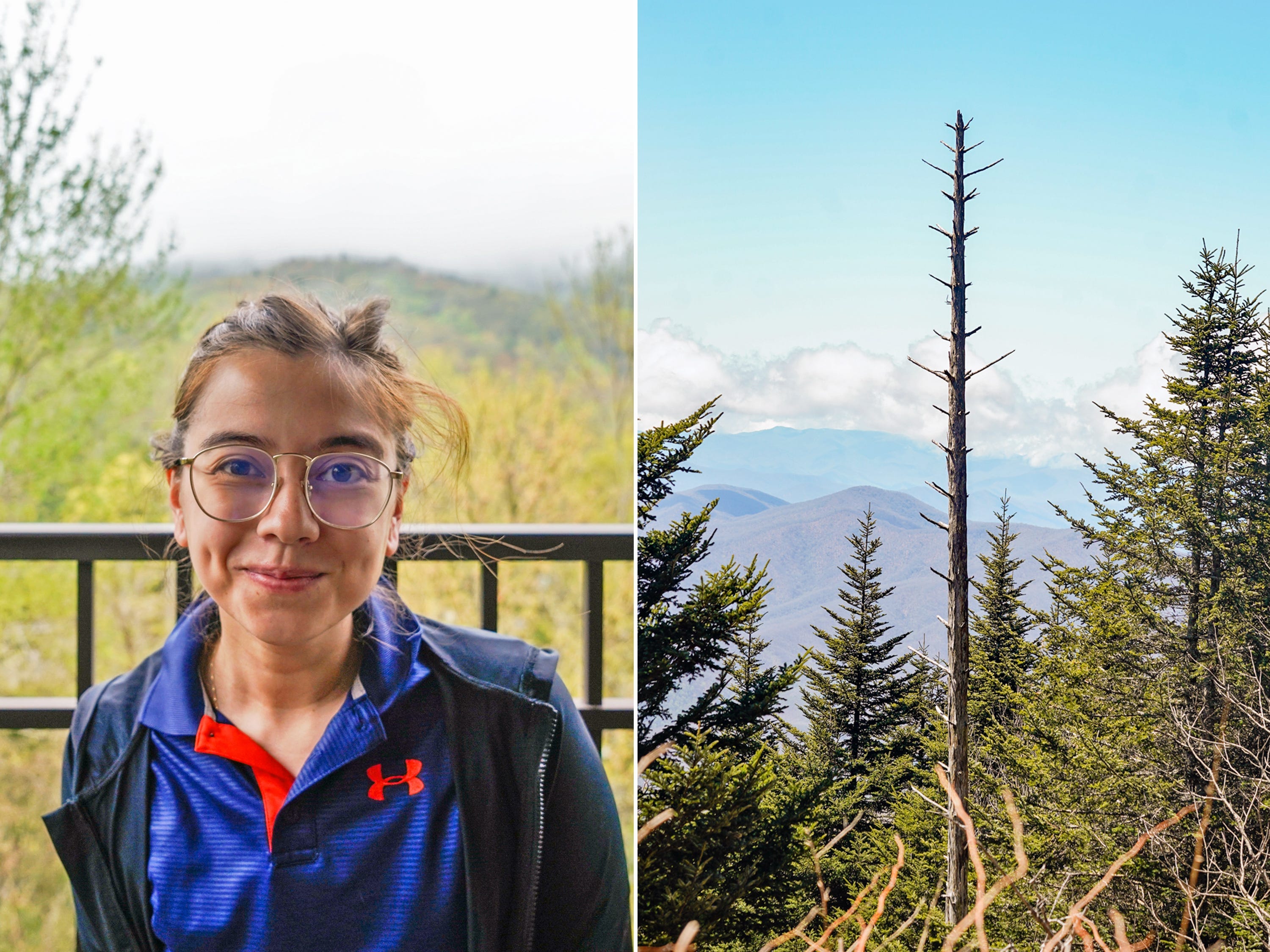 I went to the Great Smoky Mountains for the first time. 8 surprises ...