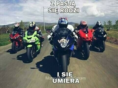 Motocyklem na jednym kole. To więcej niż styl życia. Zobacz najlepsze ...