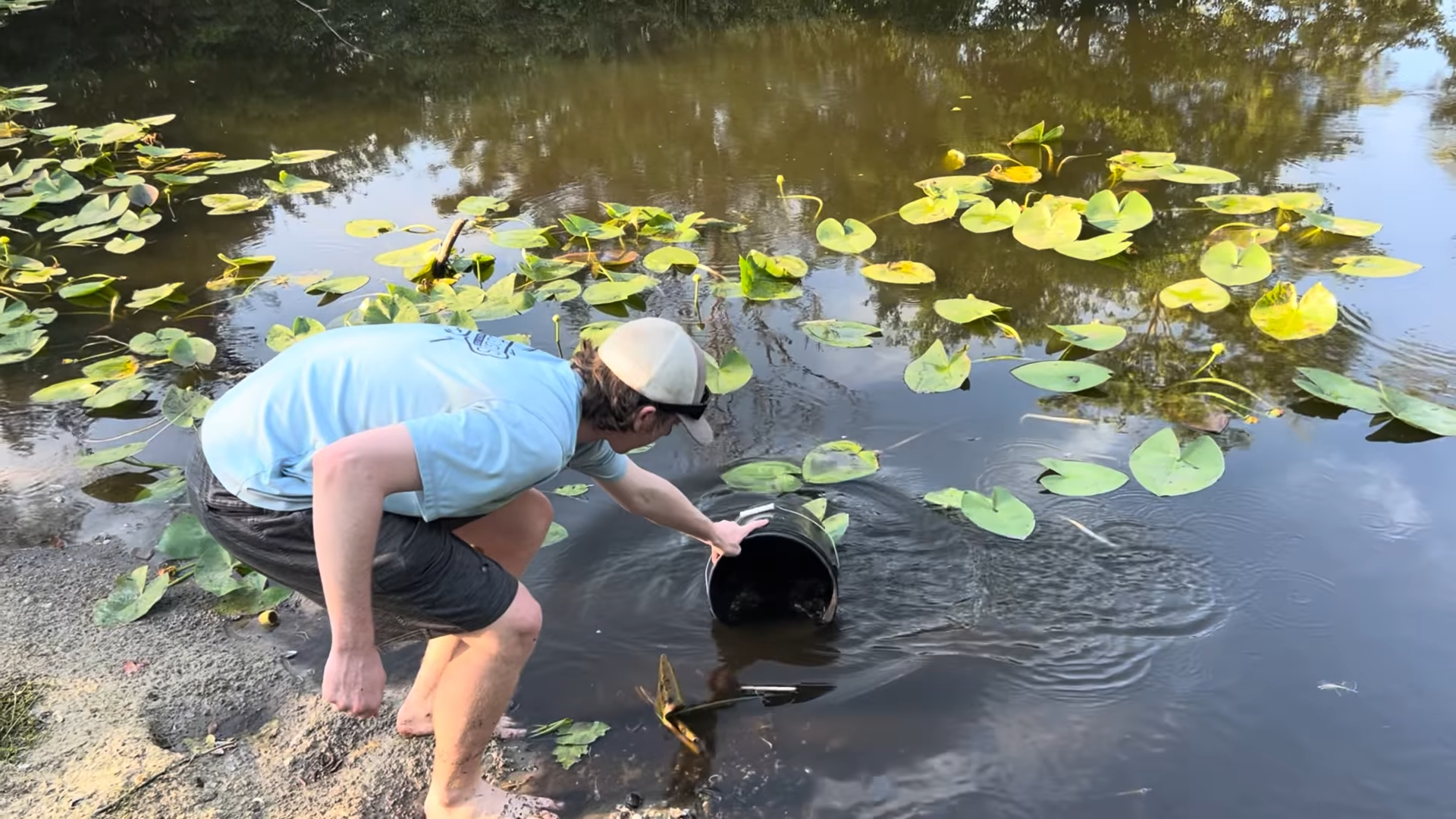 They thought it was just a spot until fish started attacking inside the ...