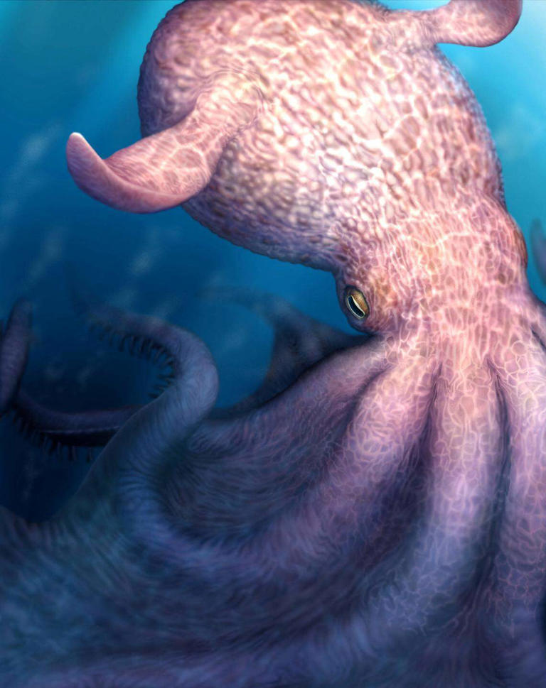 This giant finned octopus ruled Cretaceous oceans as apex predator. It ...