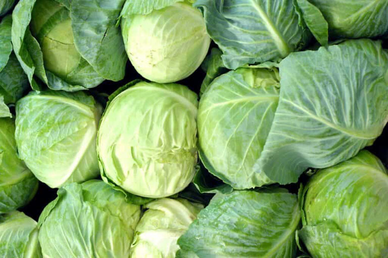 Cabbage overtakes cauliflower as a top food trend