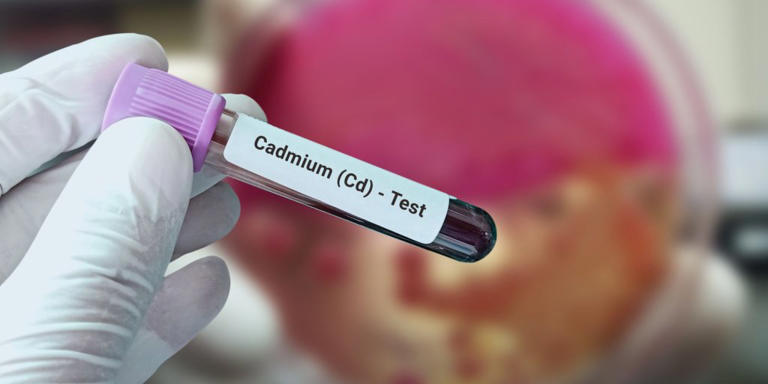 Cadmium et cancer du pancréas : y a-t-il un lien entre l'exposition au ...