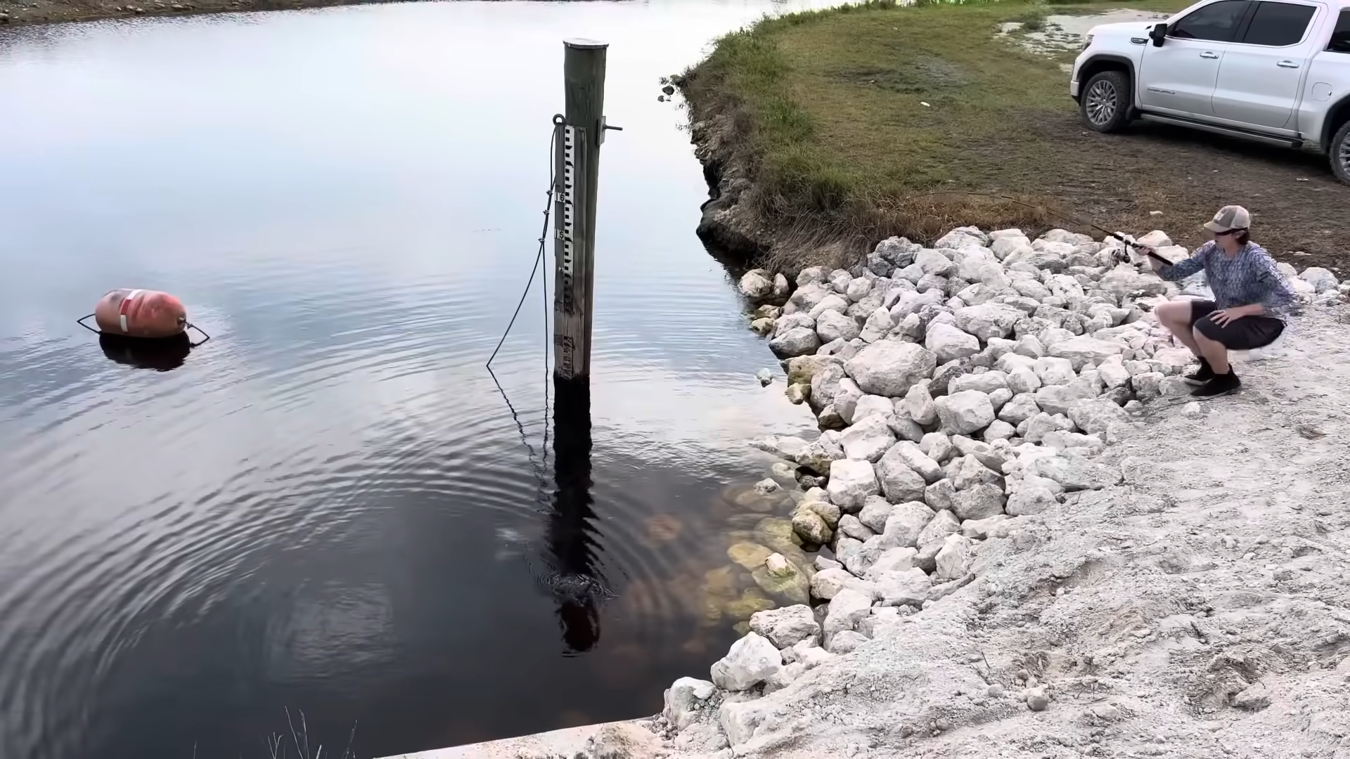 They thought it was just a spot until predators started attacking ...