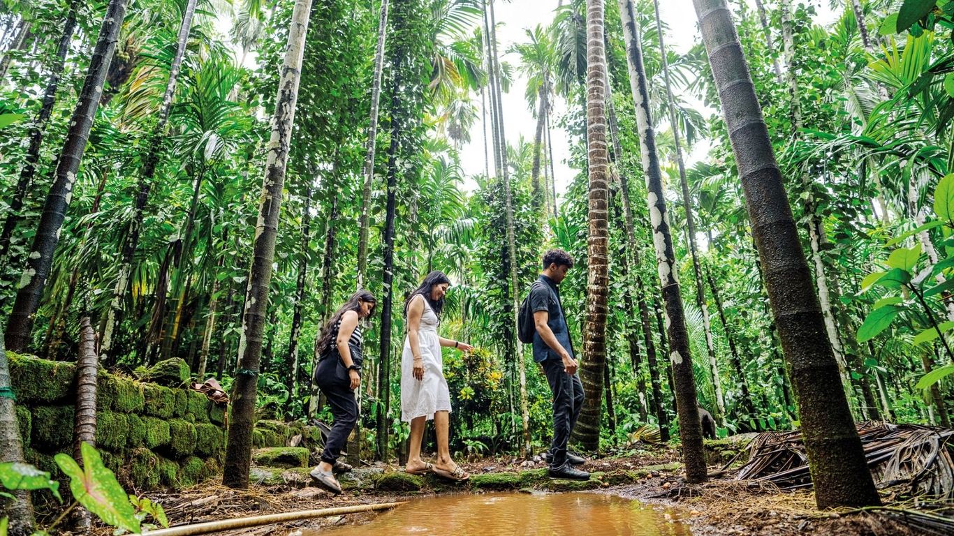 Rivona village blends heritage, ecology and slow living in Goa