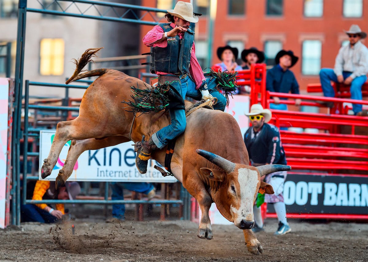 Minneapolis rodeo at Surly Brewing Festival Field discount tickets ...