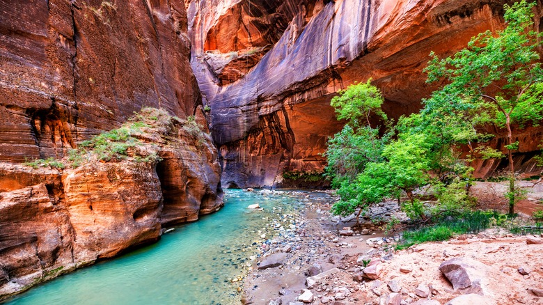 The best itinerary for a scenic, unforgettable road trip to Utah's 5 ...