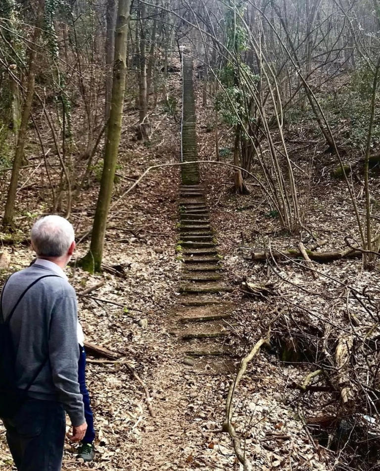 Sul lago di Como c’è una “Scala del Paradiso”: oltre 900 gradini ...