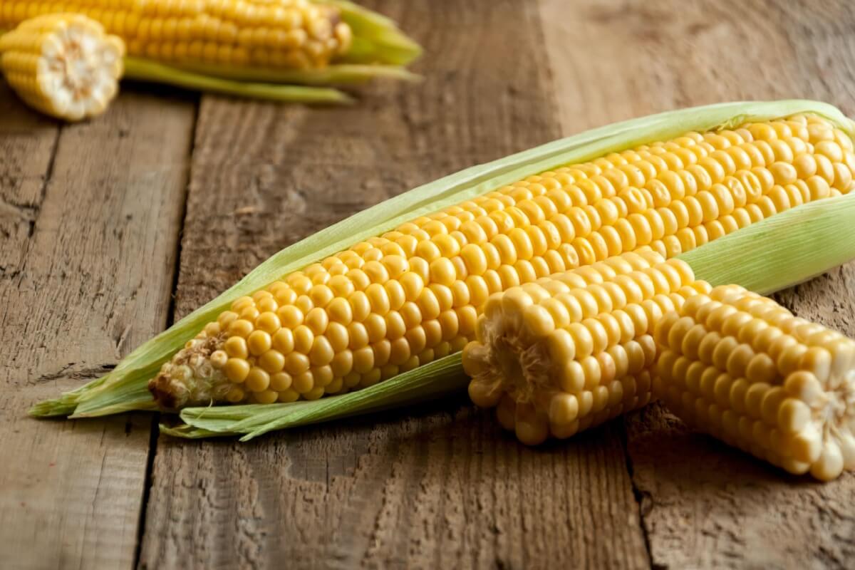 8 motivos para incluir o milho na alimentação
