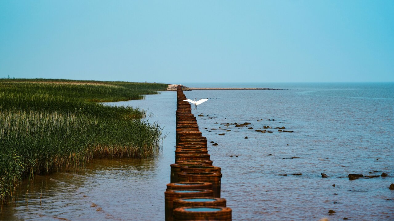 Why delaying climate action now means higher seas by 2100