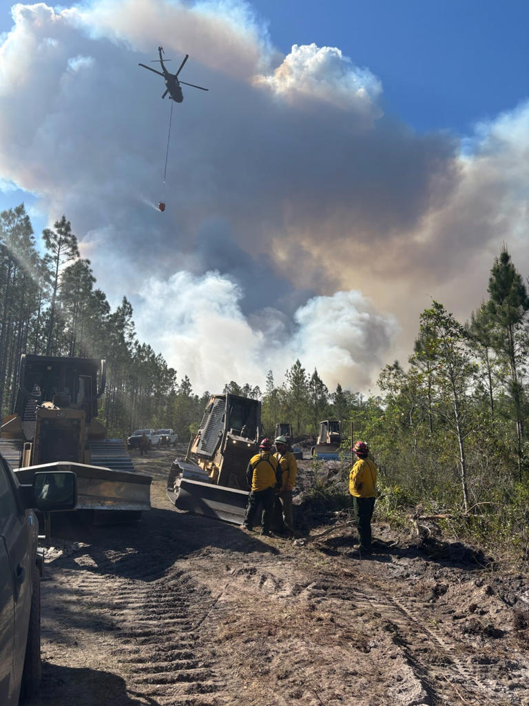 Georgia wildfire doubles in size, mandatory evacuations possible
