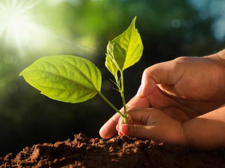 Composting event planned in Milford to explain local program