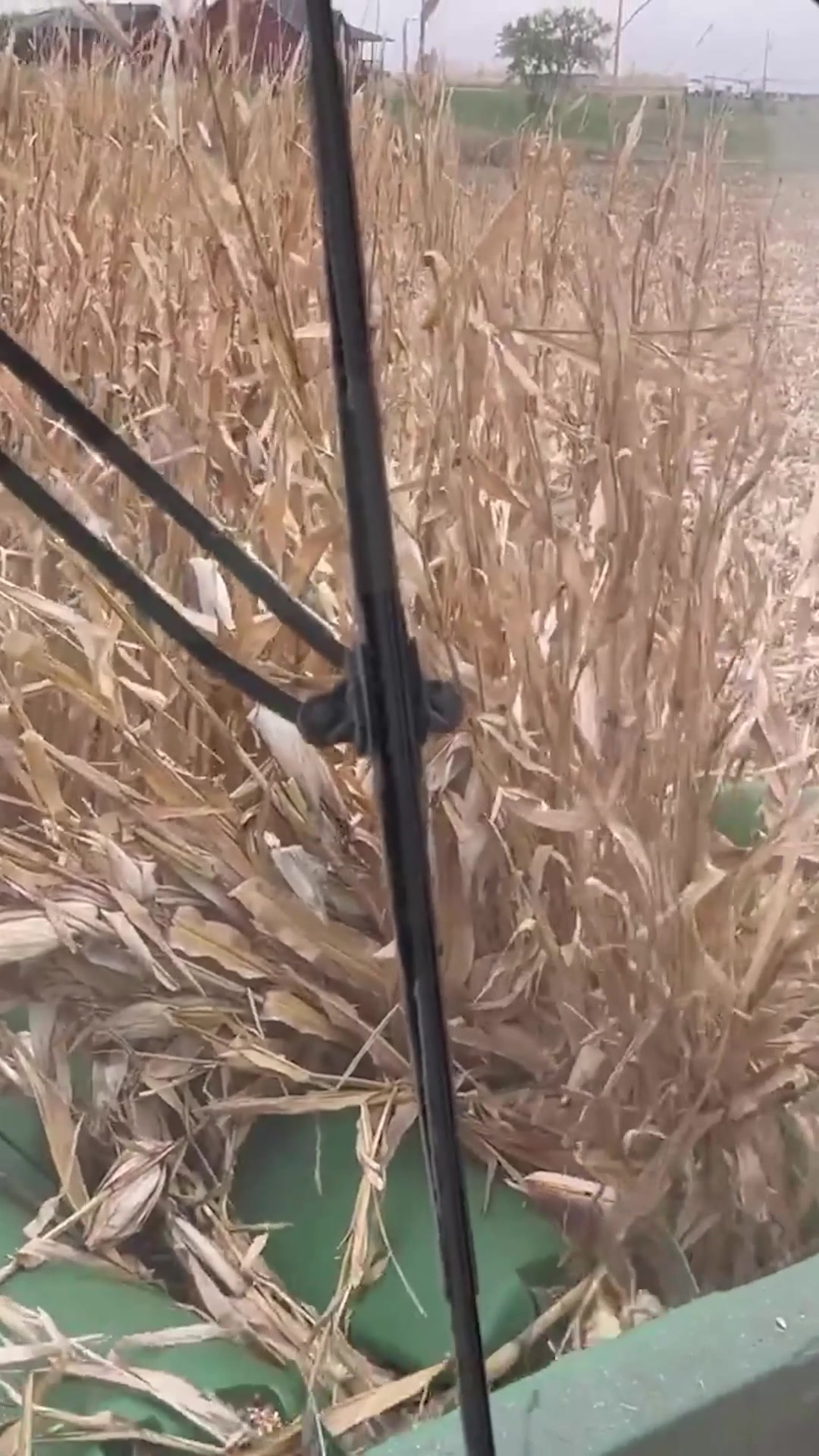 How a farm row got missed