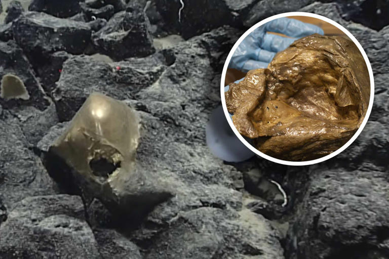 Scientists identify mysterious 'golden orb' found on ocean floor – and ...