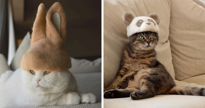 Cats that have a huge collection of hats made out of their shed fur