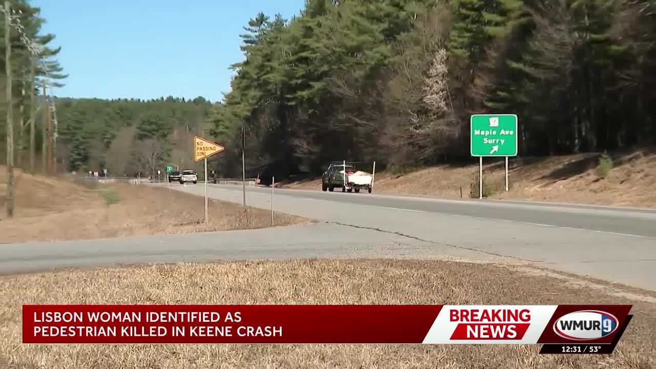 Pedestrian dies after being struck by tractor-trailer on Route 12 in ...