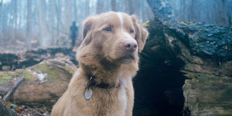 3 best new Hulu movies to watch this weekend (April 24-26): 'No Other ...