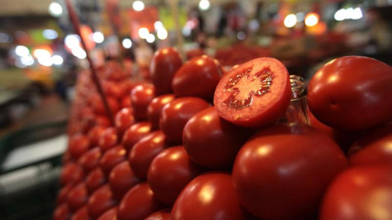 Tomates: el ingrediente básico de la comida hispana que ahora es todo ...