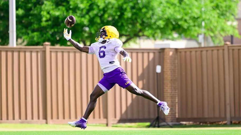 LSU football offseason intel: Predicting the Tigers' depth chart after ...