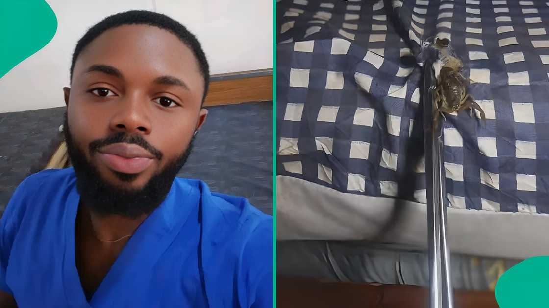 Video as man releases chilling footage of creature found underneath his bed