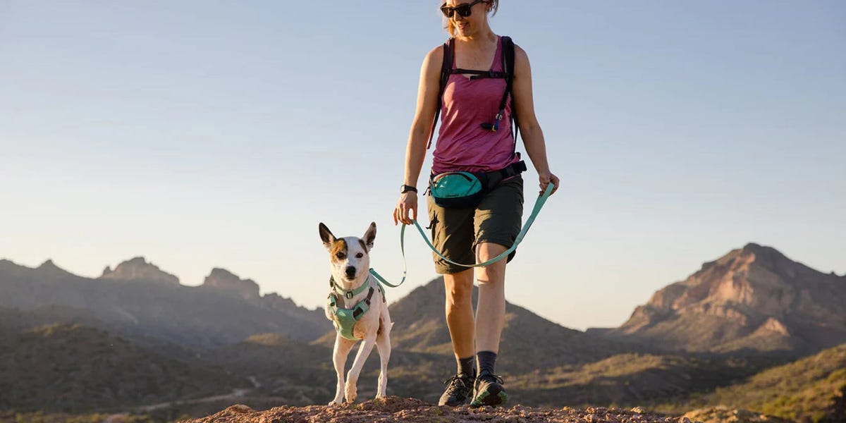 The best hiking gear for dogs according to avid hikers