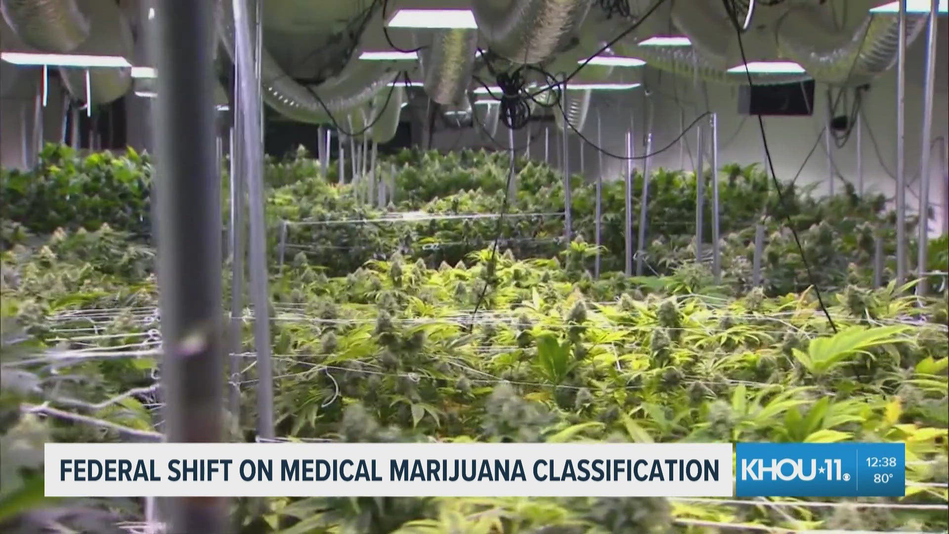 Federal order reclassifies some forms of marijuana as less-dangerous drug