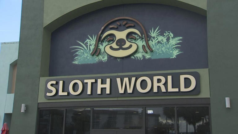 31 sloths meant for Orlando’s new 'Sloth World' died, state report says