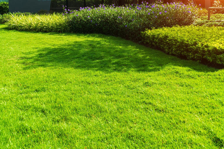 Want a greener lawn? Experts say to water grass at this time of day