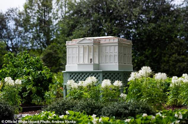 Melania sweetens White House grounds by adding two new honey bee colonies