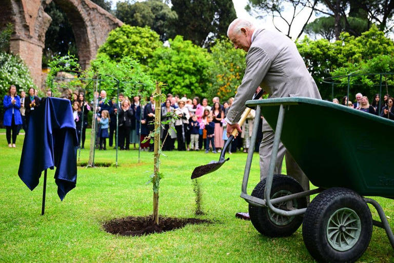 King Charles' most hated vegetables he has banned from his royal gardens