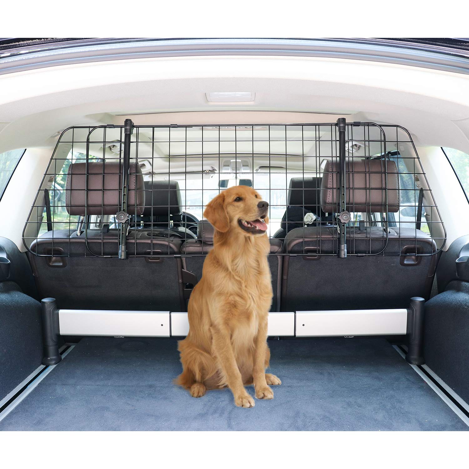Hop in, boy! The best dog car barriers and dividers of 2026, picked by ...