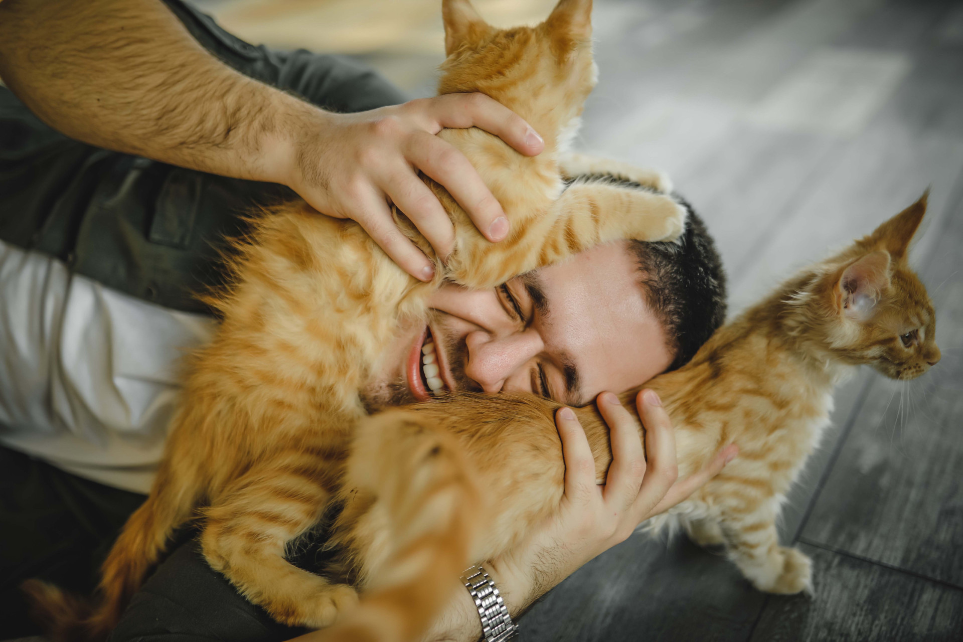 Everyday behaviors that are hidden survival instincts