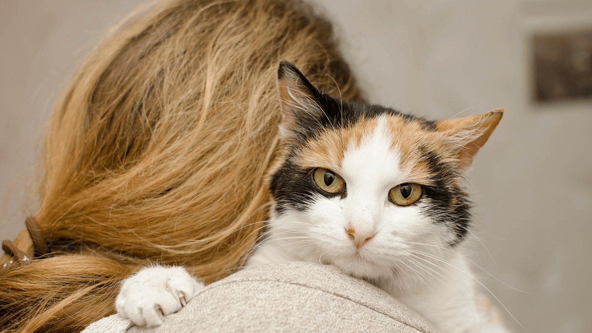 Your cat trusts you but you're breaking that trust this way