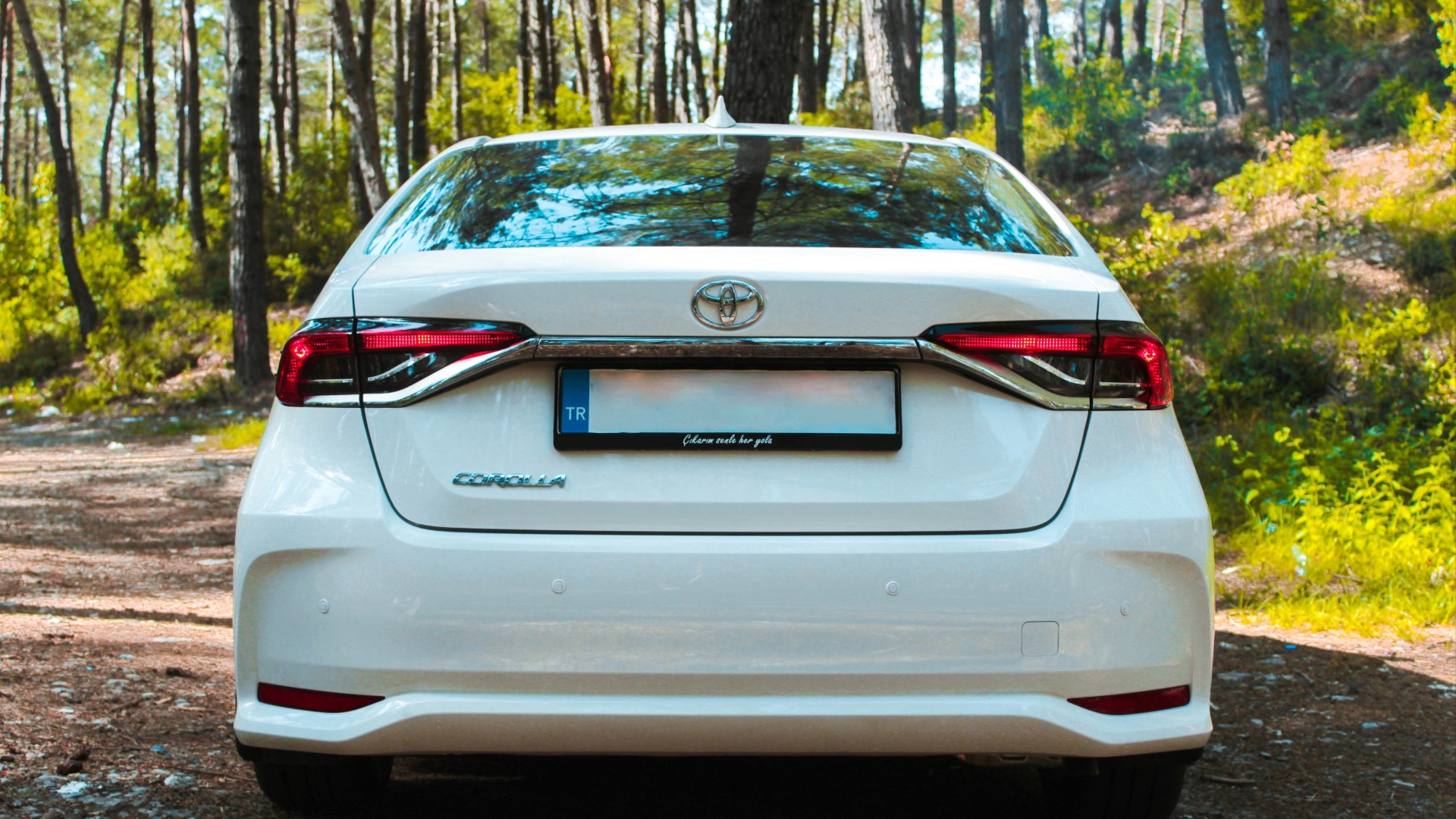 20 cars we guarantee everyone has owned or driven before