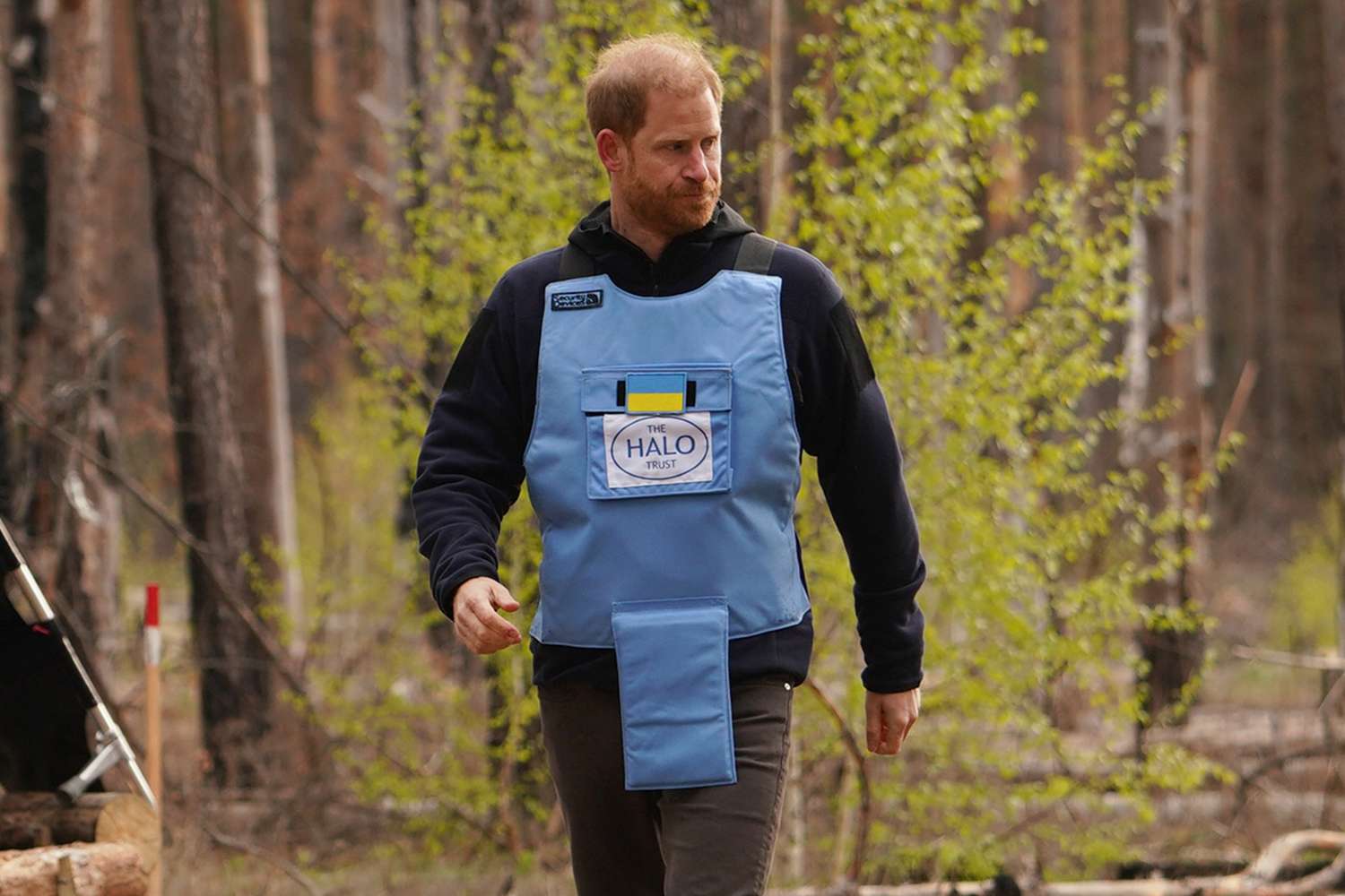 Prince Harry pushes back after being called ‘not a working royal’: ‘I ...