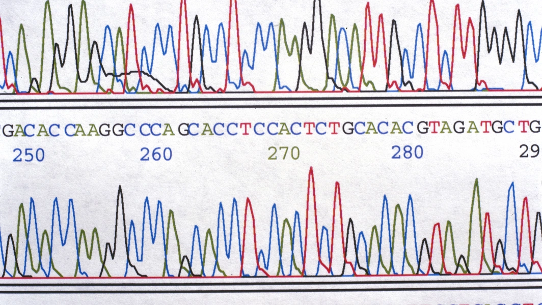 Ancient DNA study maps 10,000 years of human evolution