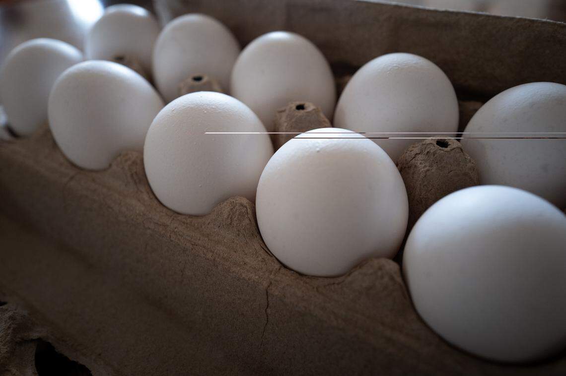 Viral frozen egg trend on TikTok risks salmonella, FDA warns - how to ...