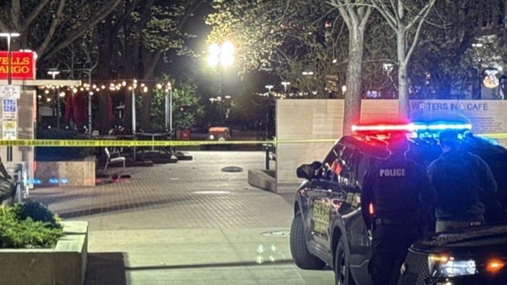 Over a dozen people facing charges in Ped Mall fight that led to ...