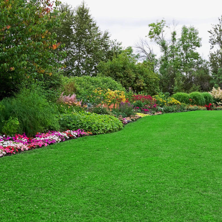 The simple edging trick that sharpens borders and helps with garden ...