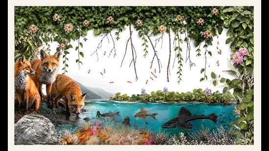 Resident aliens: Check out the dramatic damage done by invasive plants ...