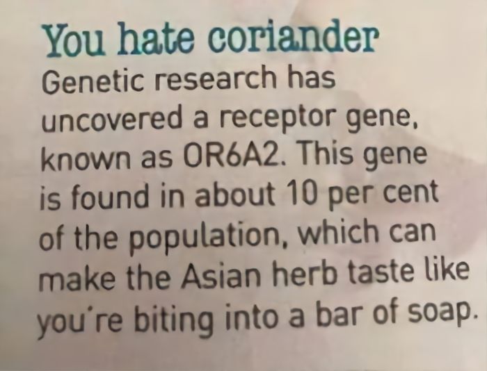 16 funny images from people who hate coriander (cilantro)